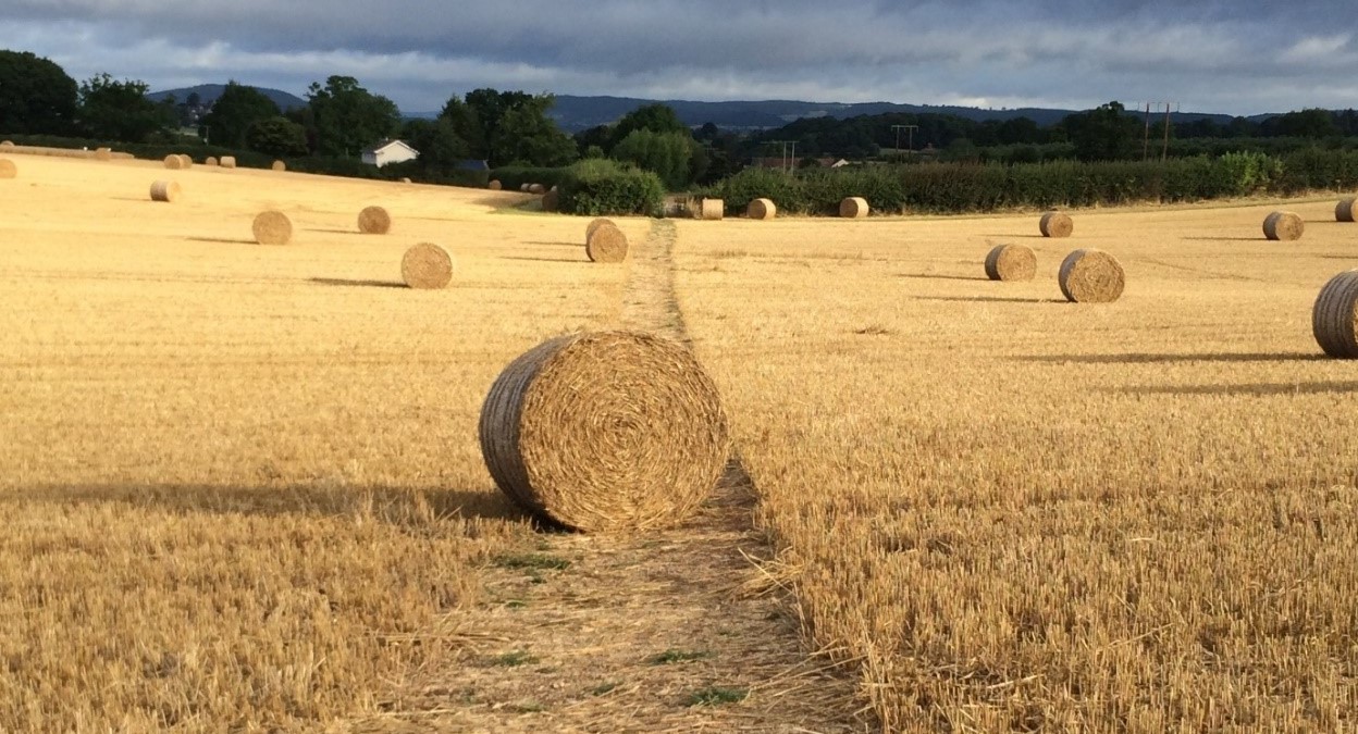 A Portrait of Allensmore – Allensmore Matters.